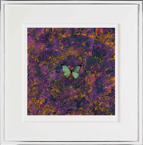 Into The Night Alex Echo