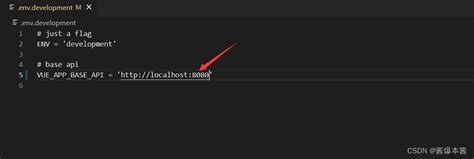 Vue2项目打开浏览器请求后端时出现post Localhostuserlogin Neterrconnection