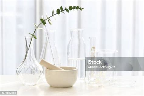 자연 약물 연구 과학 유리 제품 식물 추출 대체 녹색 허브 의학 천연 유기농 스킨 케어 미용 제품 실험실 및 개발 개념 실험실에 대한 스톡 사진 및 기타 이미지 Istock