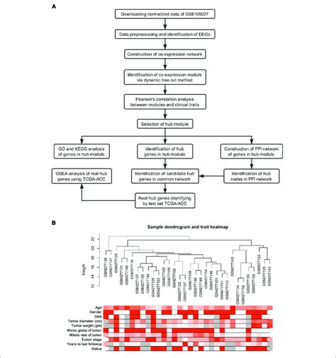 Study Design And Clustering Dendrogram Of Tumor Samples As Well As Download Scientific