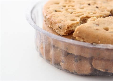 Heres A Truly Biodegradable Algae Based Bioplastic You Can Make At Home