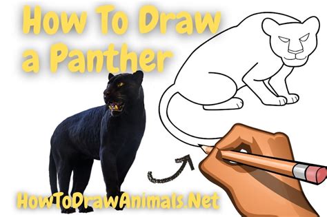 How To Draw A Turtle Easy Drawing Tutorial