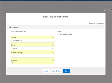 Salesforce Sample Custom Object Record Being Created