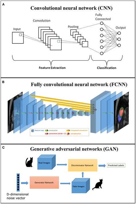 A Example Of A Convolution Neural Network CNN Where First Section Download Scientific