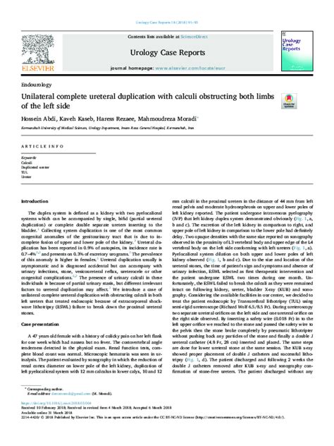 Pdf Unilateral Complete Ureteral Duplication With Calculi Obstructing Both Limbs Of The Left Side