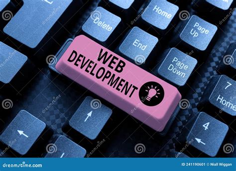 Text Showing Inspiration Web Development Concept Meaning Web