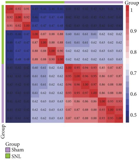 Data Preprocessing And Differential Gene Expression Analysis A