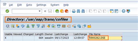 SAP ABAP Central Upload Transport Files From SAP
