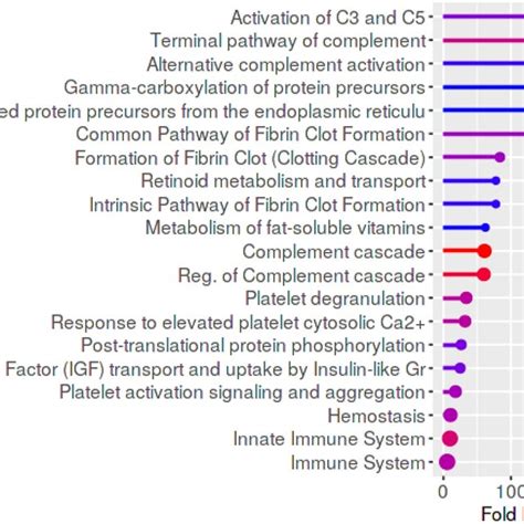 Reactome Pathways Enriched From Proteins With Differential Abundance Download Scientific