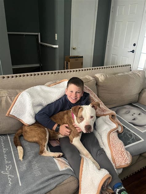 Lassie — Fetch Wisconsin Rescue