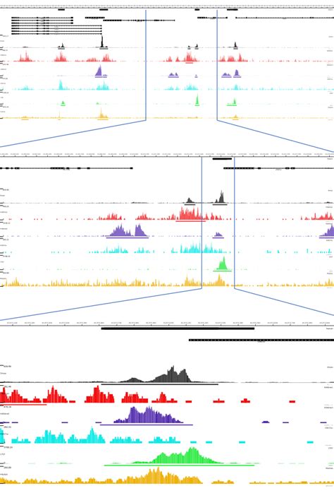 Catch Up A High Throughput Upstream Pipeline For Bulk Atac Seq And Chip Seq Data