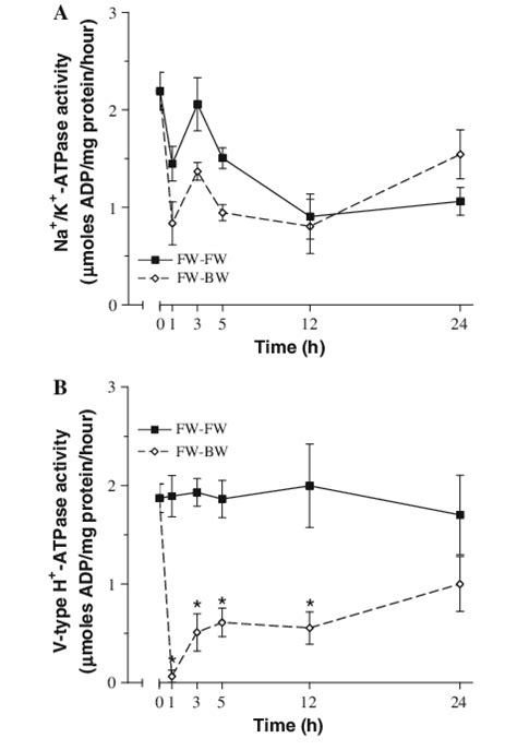 Whole Body Nka Activity A And Va Activity B Of Larval C Riparius