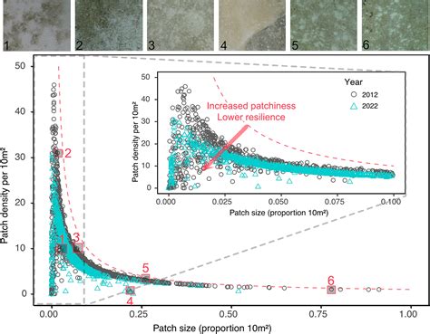 Automated Detection Of Vegetation And Megaherbivores From Drone Imagery