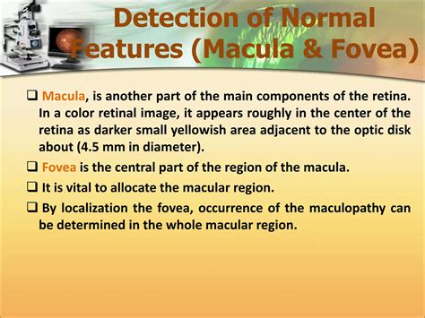 Automatic Detection Of Diabetic Maculopathy From Fundus Images Using