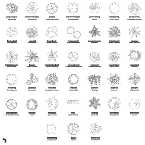 Tree Plan View