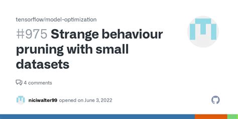 strange behaviour pruning with small datasets · issue 975 · tensorflow