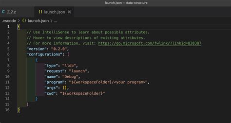 通过扩展CodeLLDB解决macOS下vscode内置终端不显示输出的问题 震惊部