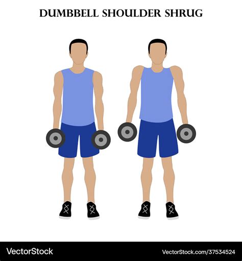 Dumbbell Shoulder Shrug Exercise Strength Workout Vector Image