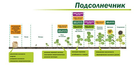 Схемы применения удобрений