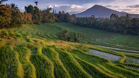 The Best Of Bali What Its Like To Visit Now Cnn