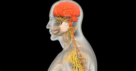 복통으로 병원갔는데 이상 없다면 우울 불안 분노 등 감정이 원인”