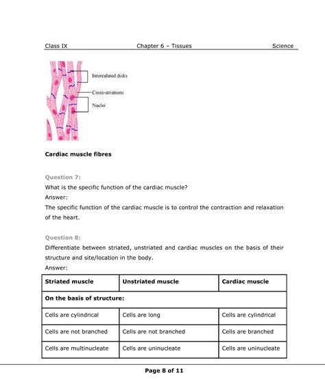 Class 9th Science Tissues Ncert Solution Cbse 2023