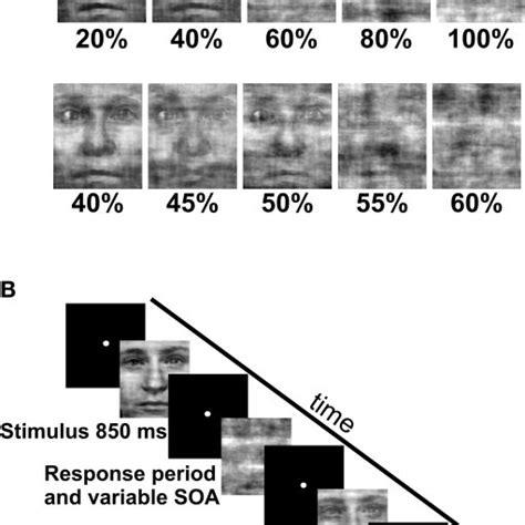 Experimental Task And Stimuli A In The Fmri Experiment We Used A
