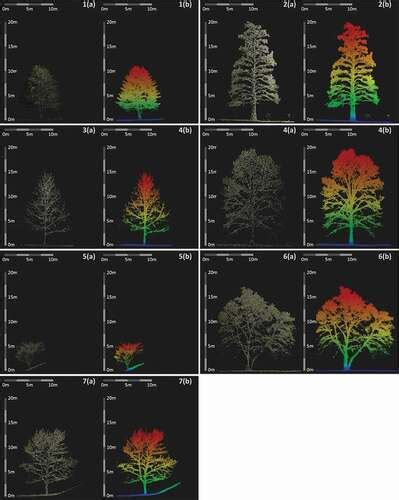 Full Article Urban Tree Species Classification Using Uav Based Multi