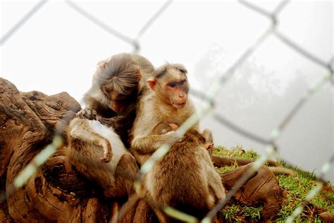 Now A Orgy Aroopd Flickr