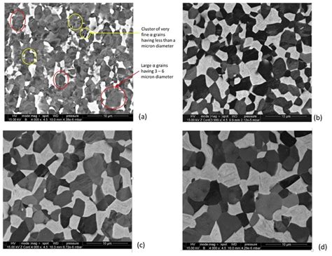Microstructures Of The A As Received And Superplastically Formed