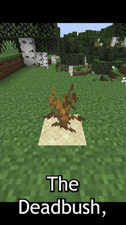 Whats The Most Useless Block In Minecraft Minecraft Shorts Youtube