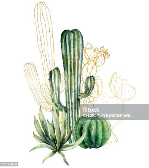 라인 아트 인쇄 수채화 선인장 카드입니다 손으로 그린 사막 선인장과 꽃 컬렉션 Agava 식물 그림 디자인 인쇄 직물 또는