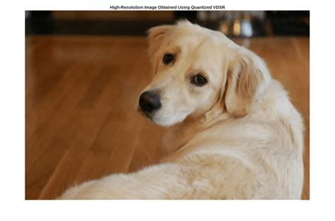 increase image resolution using vdsr network running on fpga matlab