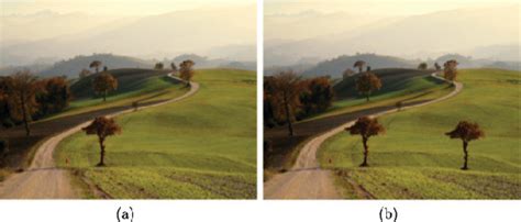 Figure 1 From A Unified Approach For Copy Move Forgery Detection Using Cnn And Sift Localization