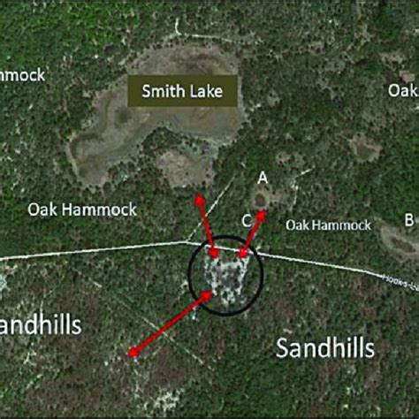 Circular Barplots A F Representing The Relative Frequency Of Eastern
