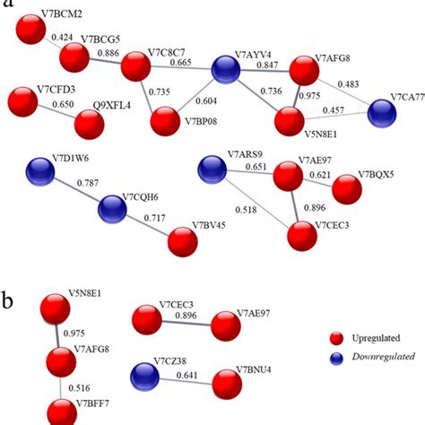 Analysis Of A Functional Network Of The Proteins Differentially