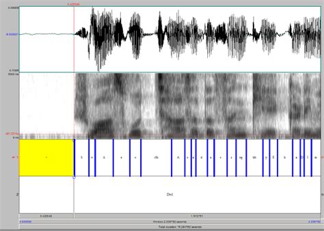 Manual Segmentation Using Temporal And Spectral Changes For The