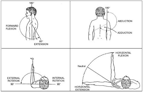 The Rom Of Major Joints Shoulder Range Of Motion Rom Body Systems