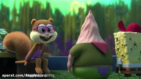 باب اسفنجی کمپ کرال