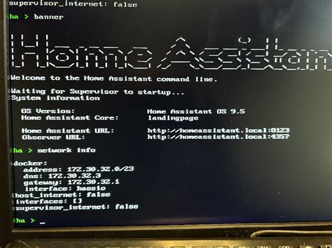 No Network Interfaces Showing On An X86 Installation Installation Home Assistant Community