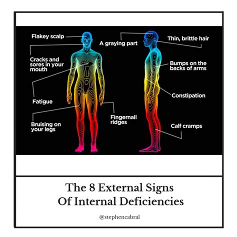 Cabral Concept 1215 Stephen Cabral