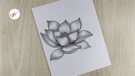 How To Draw A Realistic Lotus Flower Purple Lotus Flower Realistic