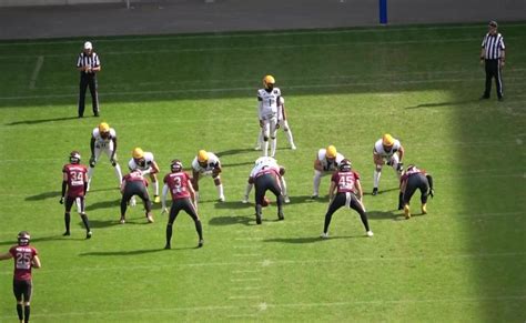 Trt Object Detection Model By Osama