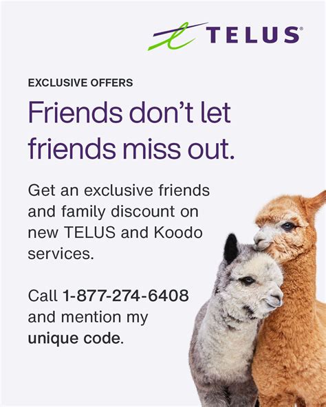 Teamtelus Jennifer Pashulka