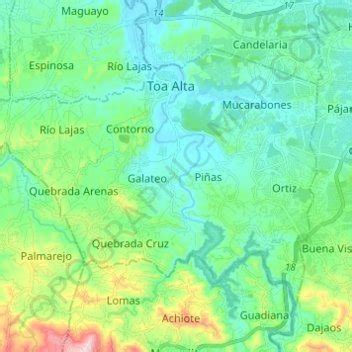 Mapa Topográfico Toa Alta Altitude Relevo