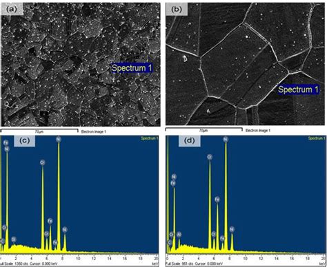 A C Sem Eds Micrographs Of Alloy I B D Sem Eds Micrographs Of Download Scientific