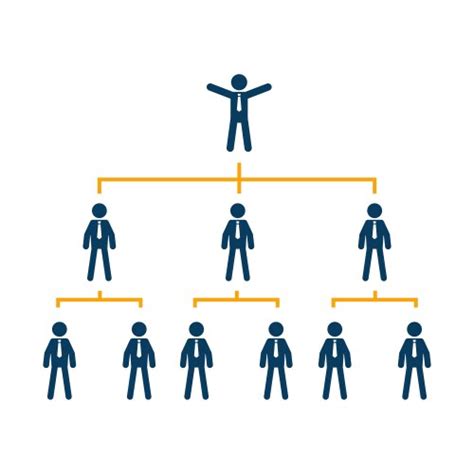 Organization Chart Tree Company Corporate Vector Image