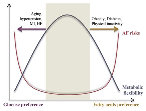 Metabolic Inflexibility As A Pathogenic Basis For Atrial Fibrillation Published 2022 07 27