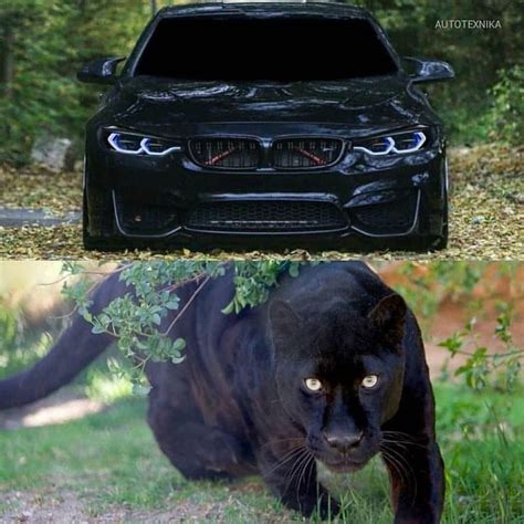 Pin By Benabdellah Abdellatif On Bmw Bmw Bmw Cars Bmw M5