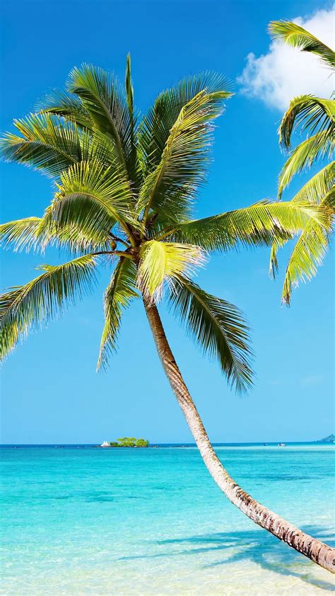 Tropical Beach Iphone Wallpaper